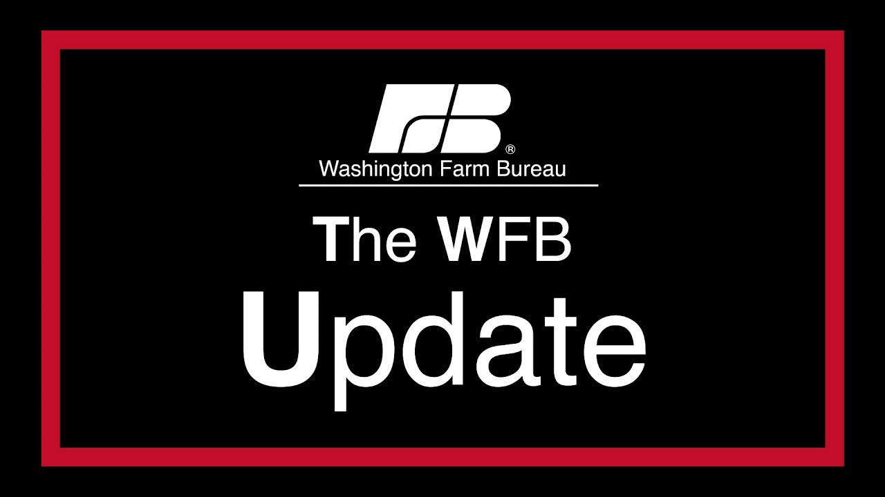 The WFB Update - Podcast Launch - YouTube