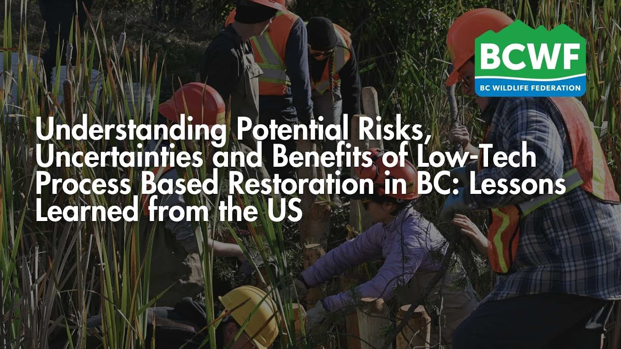 Understanding Potential Risks, Uncertainties and Benefits of Low Tech ...