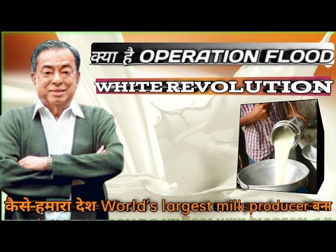 what is Operation Flood | White Revolution | how India becomes World's ...