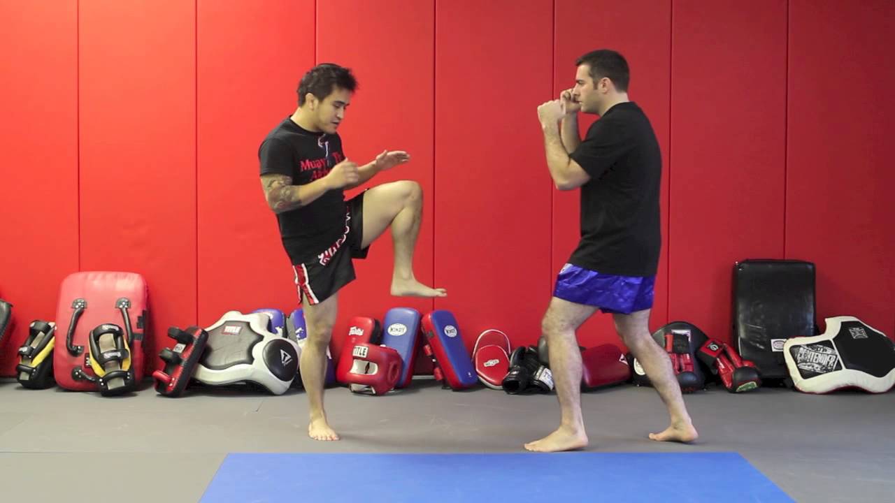 Muay Thai Push Kick - YouTube