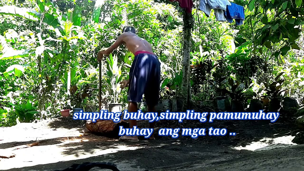 Pagsisibak ng kahoy ,gawain ng mga ating mga ninuno bihira na ngayong ...