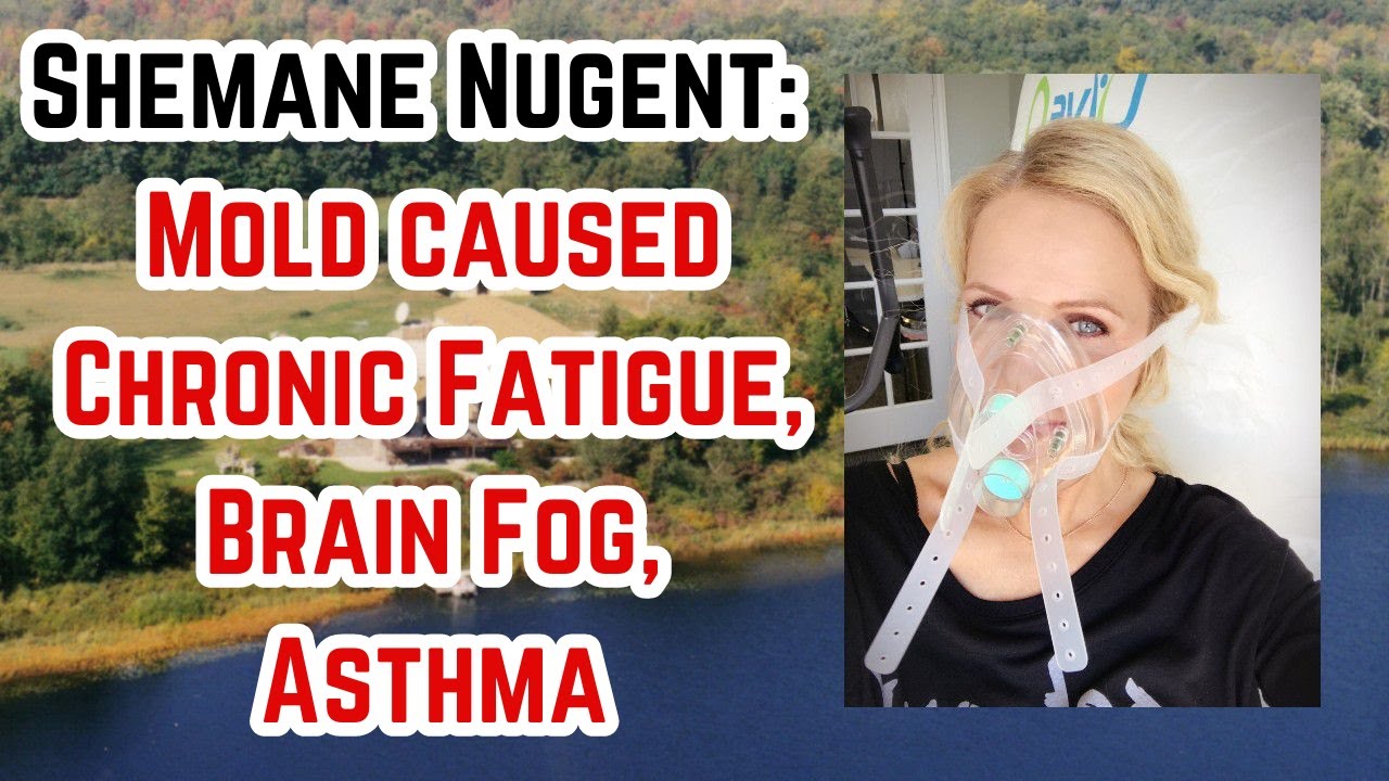 Toxic Mold Exposure Stories: In The Media PART 28 - YouTube
