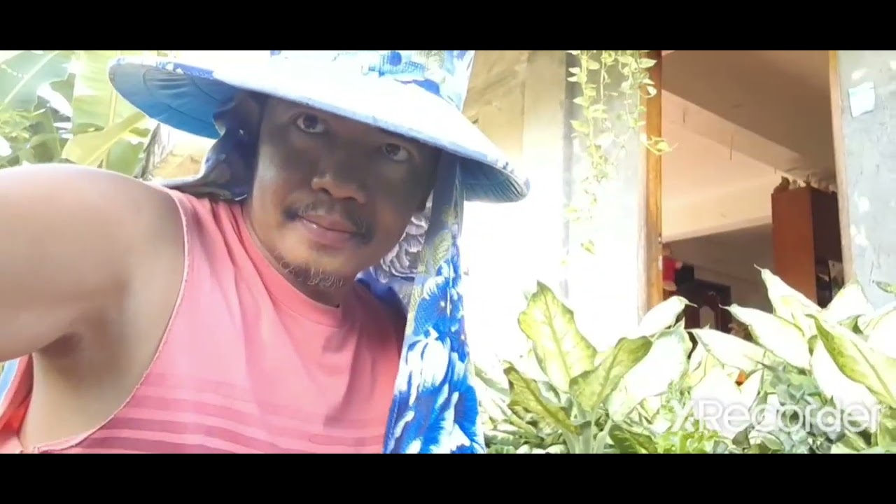 Daily Routine 101 [ Magwalis, magdamu, magdilig, magpakain ng aso ...