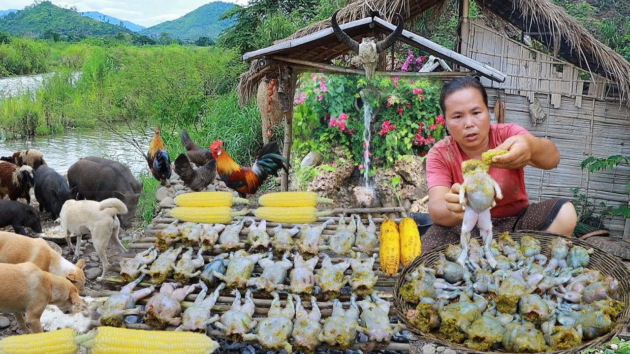 survival in the rainforest-found frog with baby corn for cook & give to ...