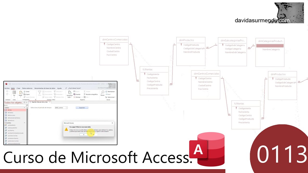 0113. Formulario Exportar Citas: Ejecutar instrucción SQL de creación ...