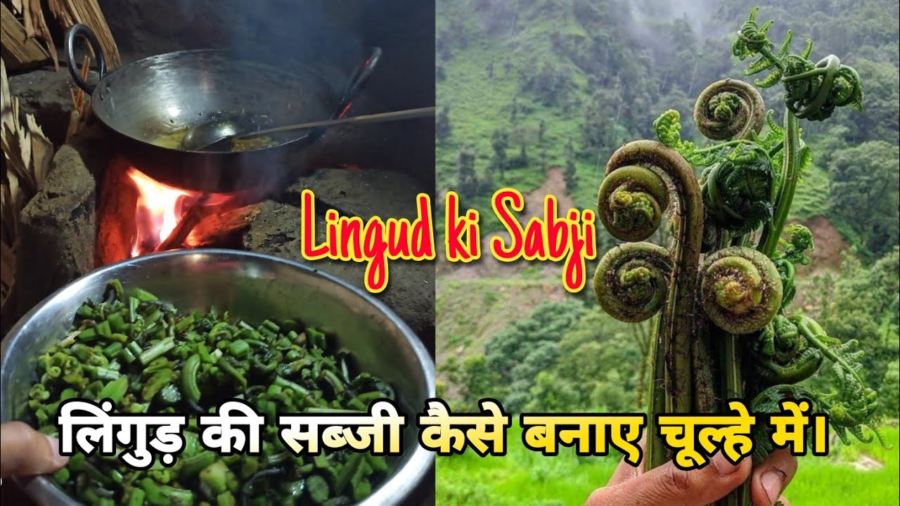 Lingud ki Sabji || लिंगुड़ की सब्जी कैसे बनाए चूल्हे में || Fiddlehead ...