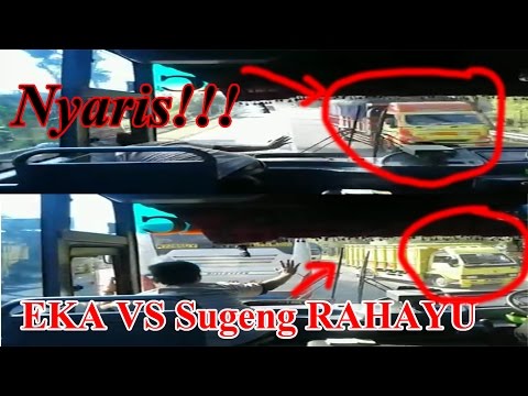 Mencekam!! Aksi Kejar Kejaran MIRA VS Sugeng Rahayu