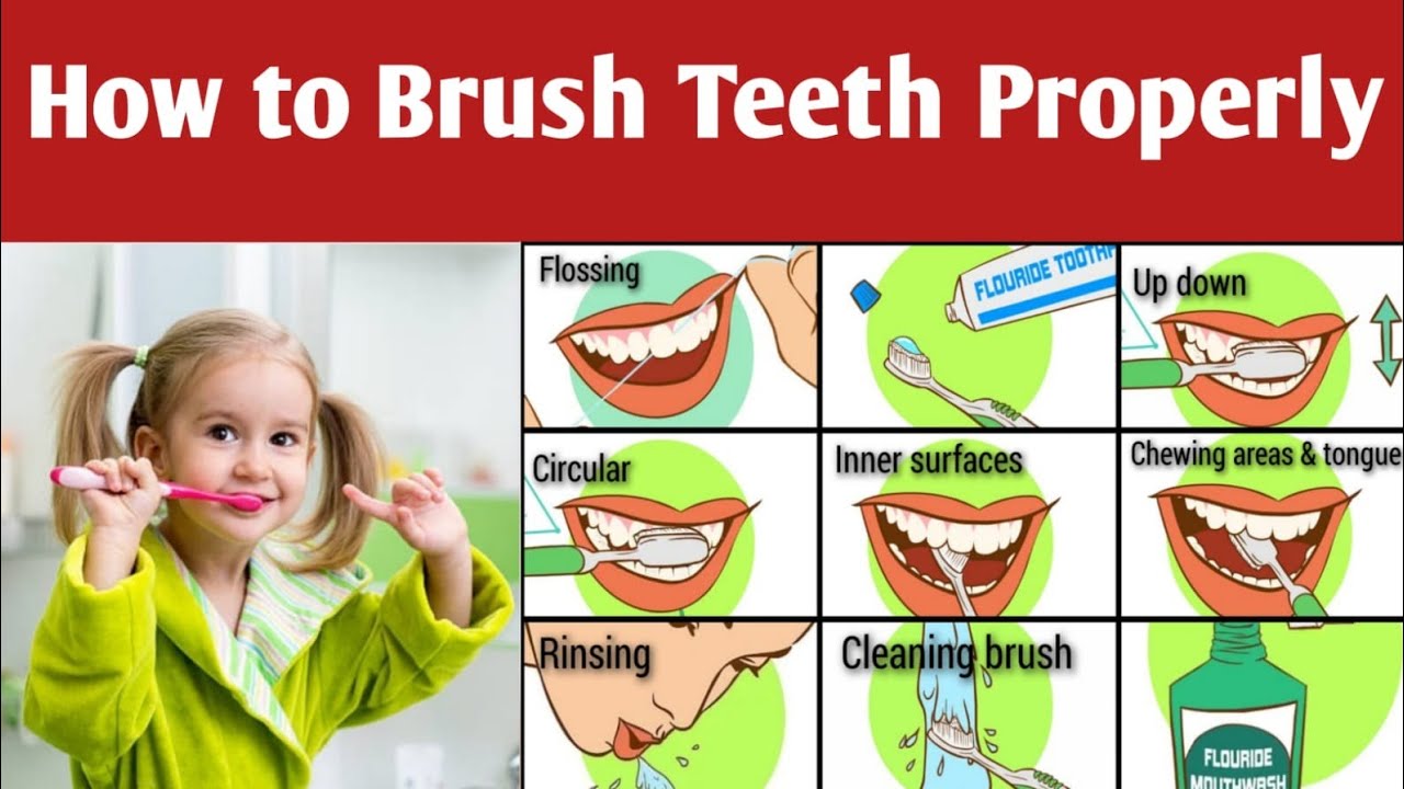 Dental plaque | How to brush your teeth properly | Dental Flossing ...