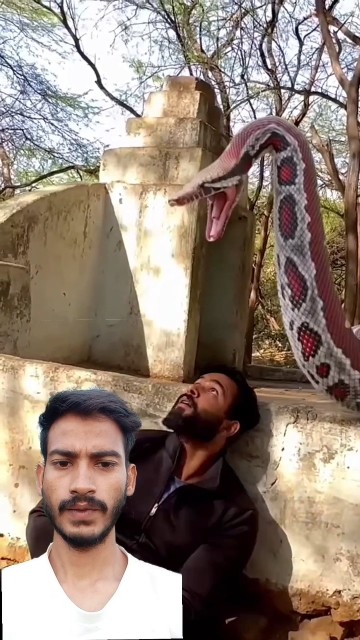 Anaconda Snake Attack🐍 #shorts #anaconda #snake #python #snakevideo #snakes - YouTube