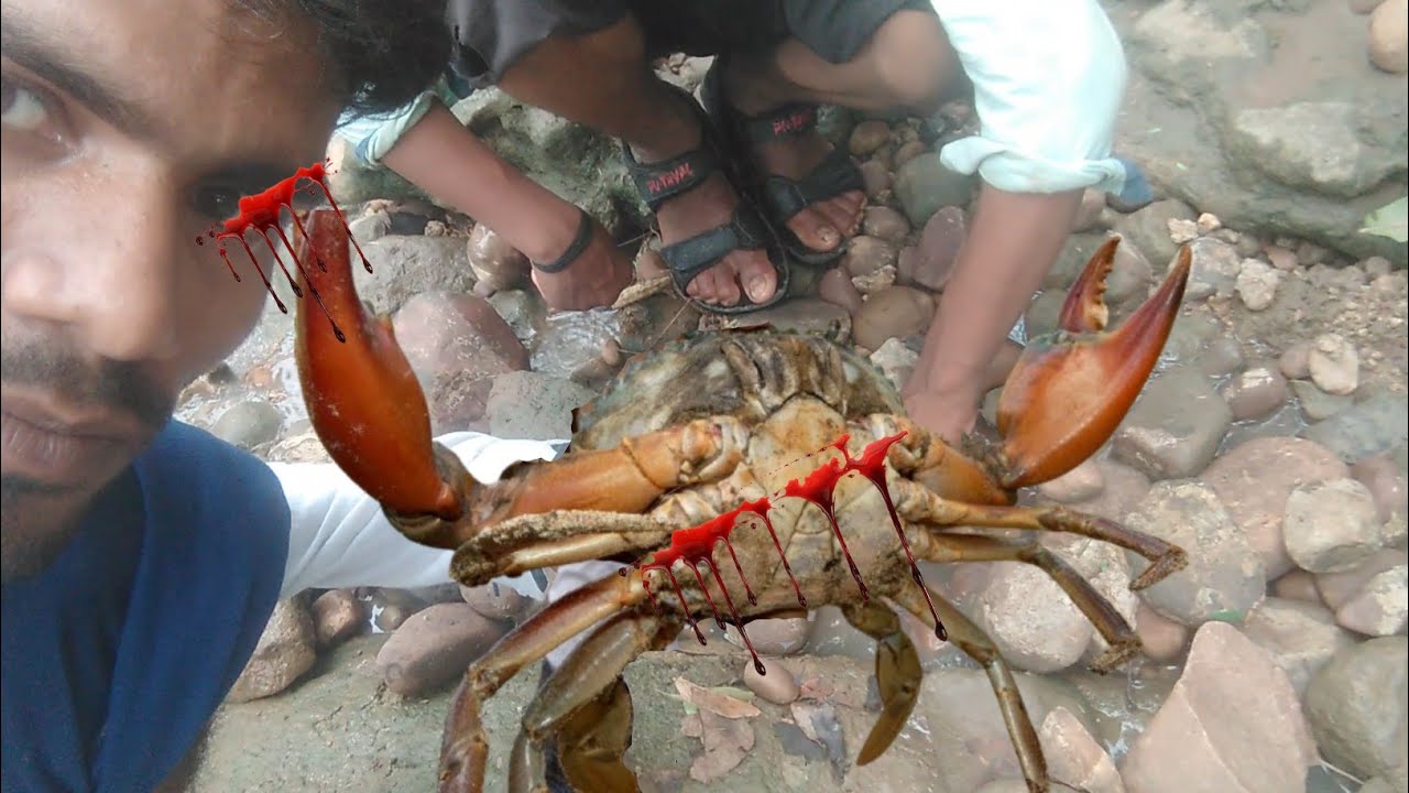 Village ma pakda Kakda and fish 🐠|TRX|🦀🦀😭 - YouTube