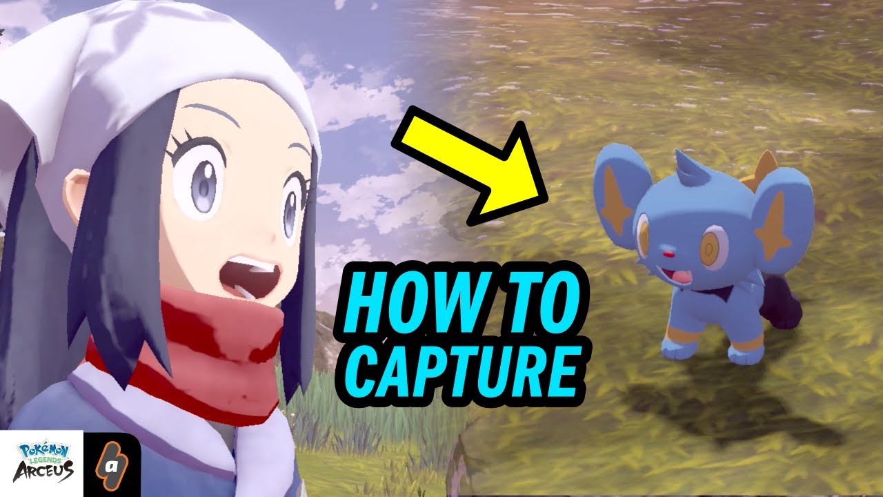 How to catch irate Pokémon (The Galaxy Team's Entry Trial Story Mission ...