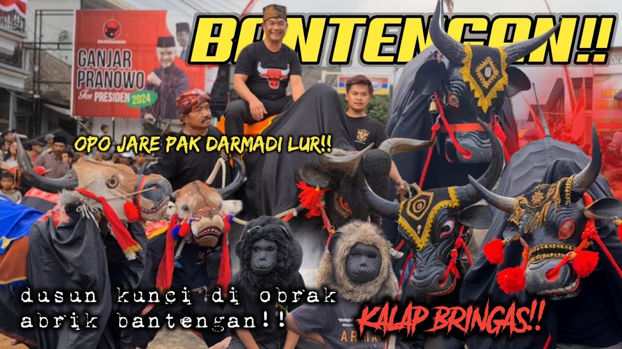 SATRIO MBAH JOGO DITO x MAHESO JOYO GUMELAR || bantengan ngamuk kalap ...