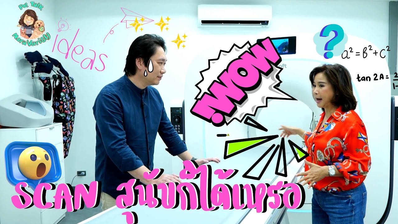 Pet Talk EP2 | Cystal Pet จับสุนัขมาเข้าเครื่องสแกน - YouTube