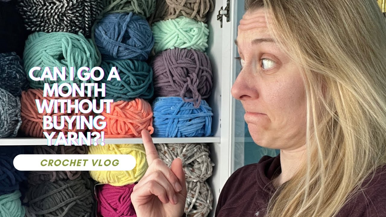 No yarn in the month of March, Can I do it? Crochet projects, yarn ...