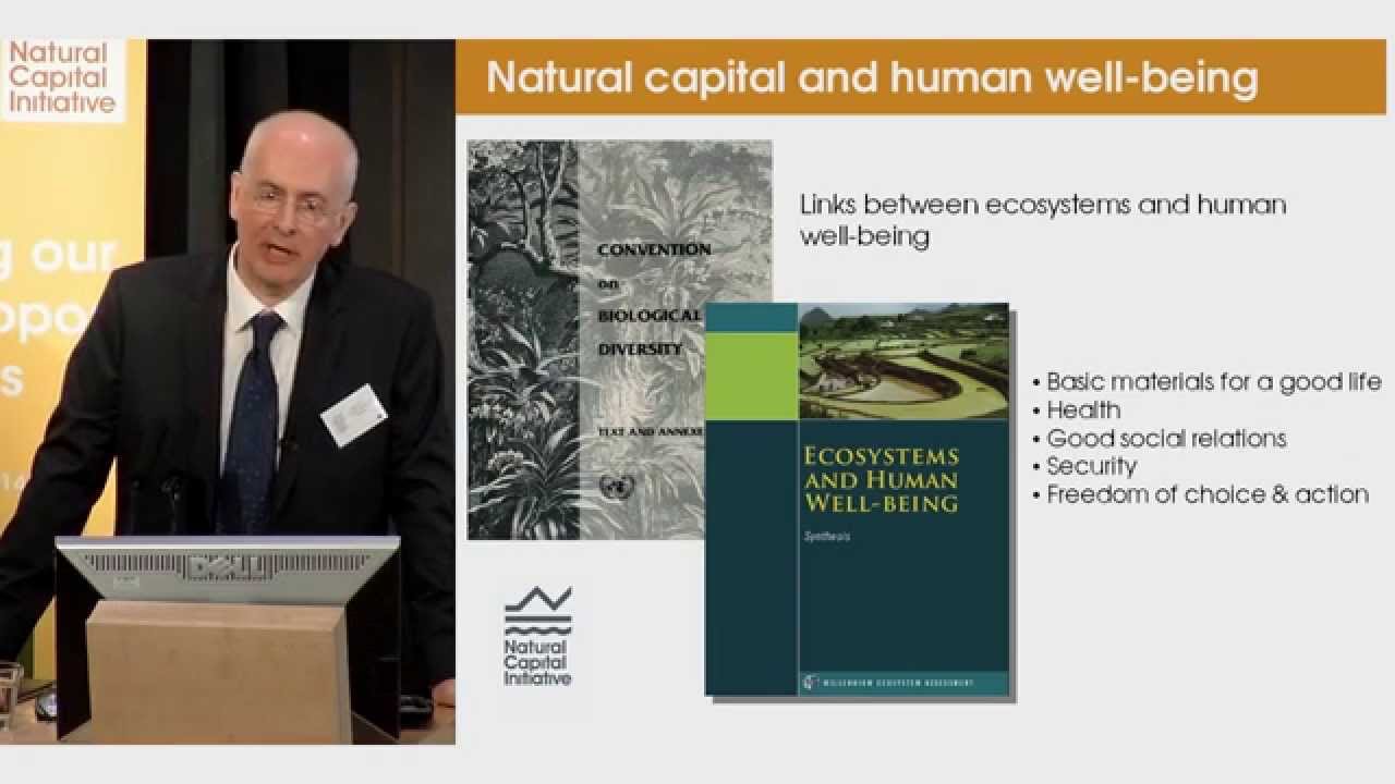 ALLAN WATT VoLSS2014 NCI - YouTube