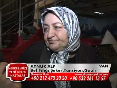 AYNUR ALP