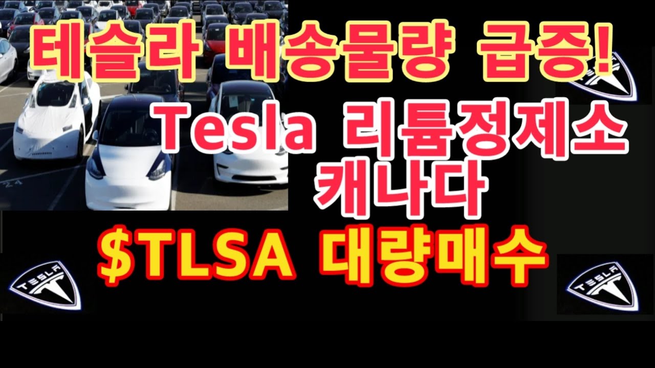 테슬라 배송물량 급증! / Tesla 리튬정제소 캐나다 / $TLSA 대량매수 / 테슬라 4분기 푸쉬 / 테슬라 투자 - YouTube