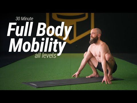 30 Minute Full Body Mobility Workout | Beginner to Advanced | Follow Along, No Talking
