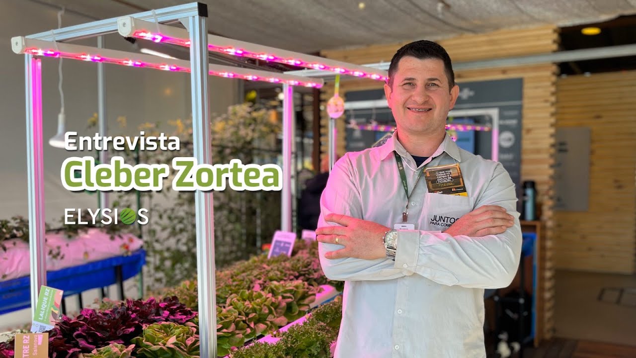 ELYSIOS, parceira no Projeto Juntos para Competir - YouTube