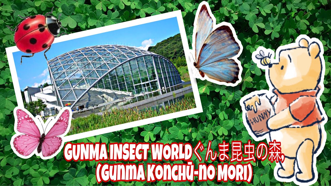 GUNMA INSECT WORLDぐんま昆虫の森, (Gunma Konchū-no Mori) - YouTube
