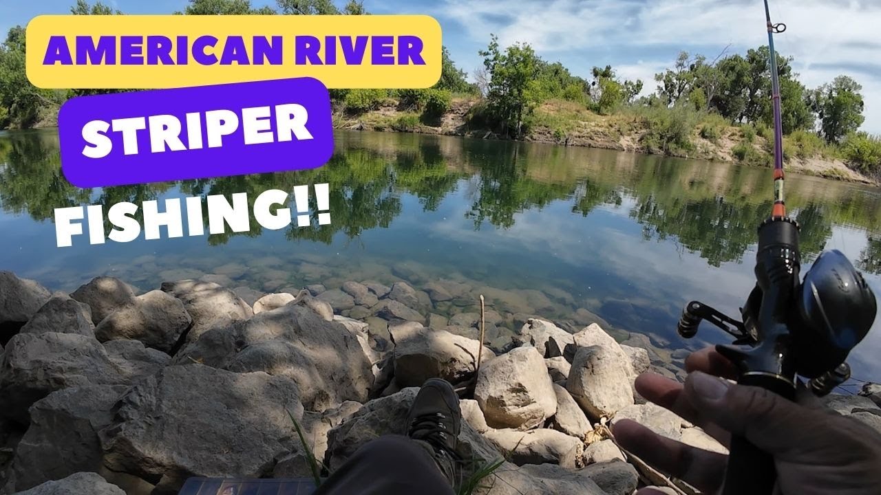 American River Striper Fishing!! - YouTube