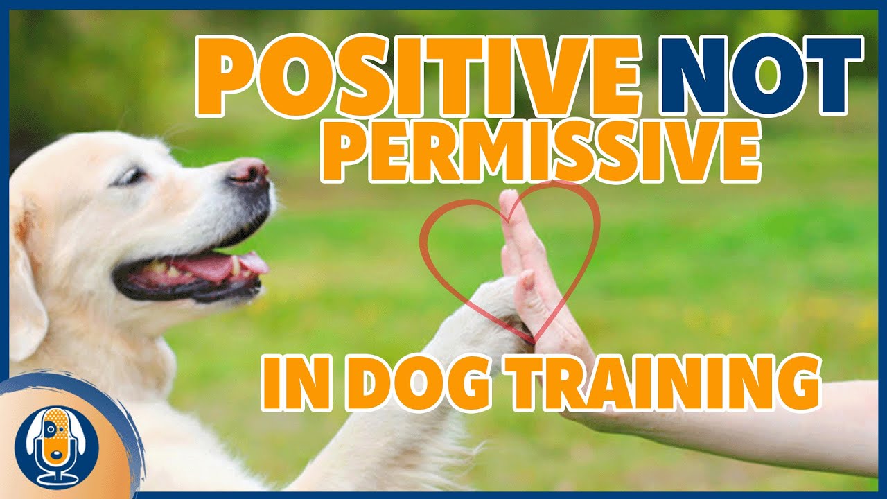 What Does "Positive Is Not Permissive" Really Mean In Dog Training ...