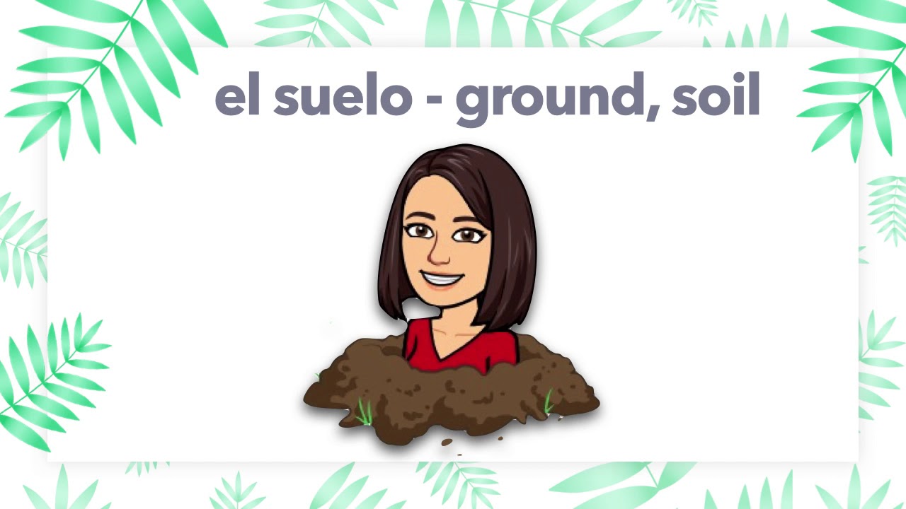 Spanish 3 Unit 3 Lesson 1 Vocabulary - YouTube