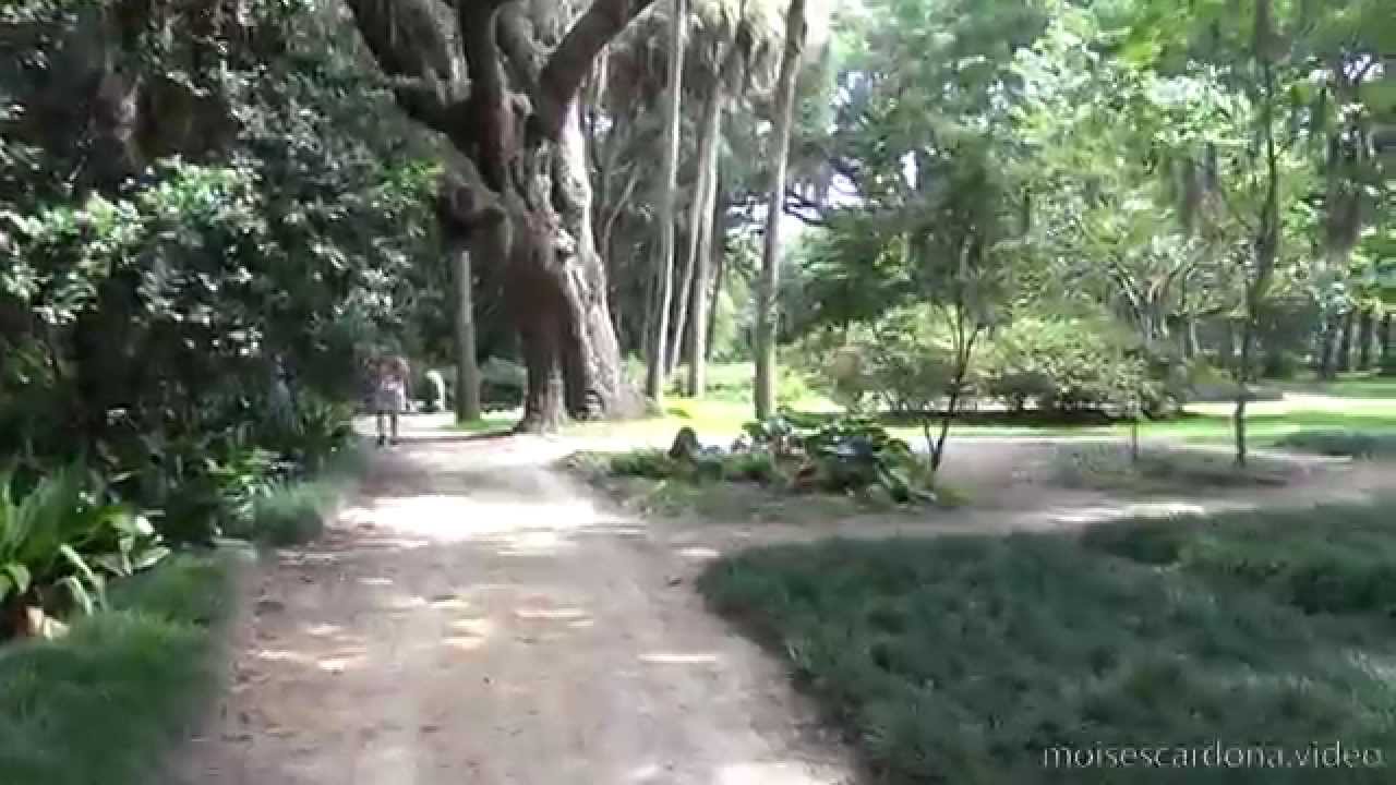 [4K] Washington Oaks Gardens State Park, Florida, USA - YouTube
