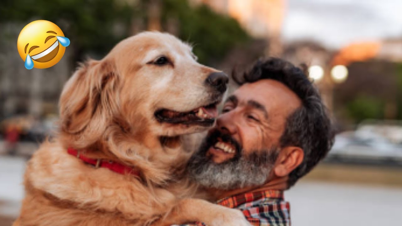 The Cutest and Funniest Animal Moments That’ll Make You Laugh So Hard😂 ...