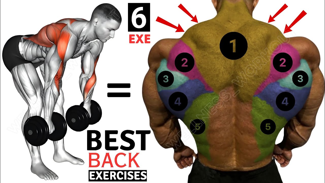 Back Workout: 6 Most Effective Exercises For Building Your Back Quickly ...