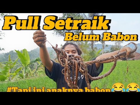 pull durasi mancing blut paling ganas