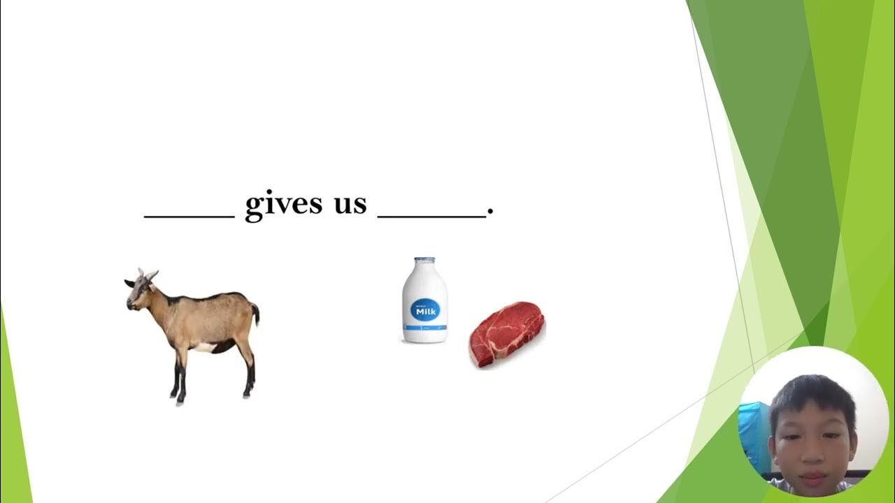 Luca's Homework KINDY3A UNIT 9 - LESSON 5&6 - YouTube