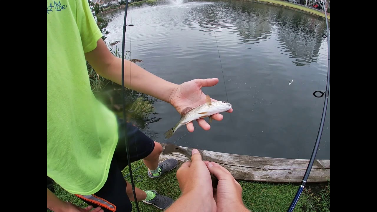 Weird Pond Fishing at Ocean Isle Beach - YouTube