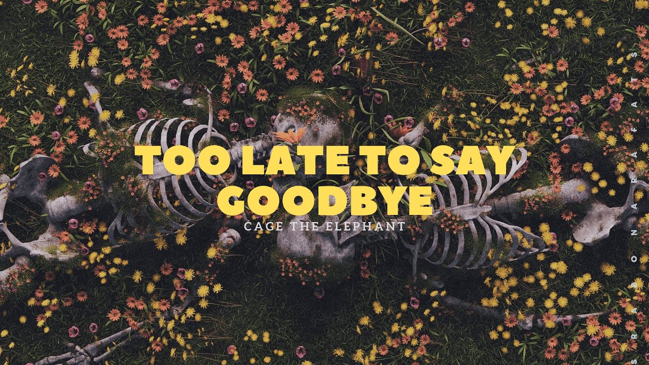 Too Late To Say Goodbye - Cage The Elephant ( Lyrics ) - YouTube