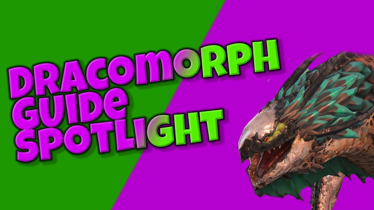 DRACOMORPH GUIDE | CHAMPION SPOTLIGHT | RAID SHADOW LEGENDS - YouTube