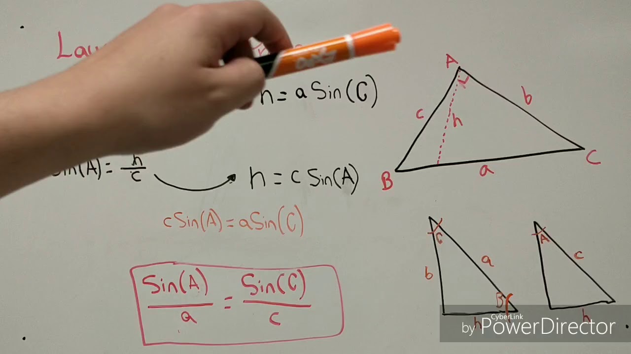 Proof of the Law of Sines - YouTube