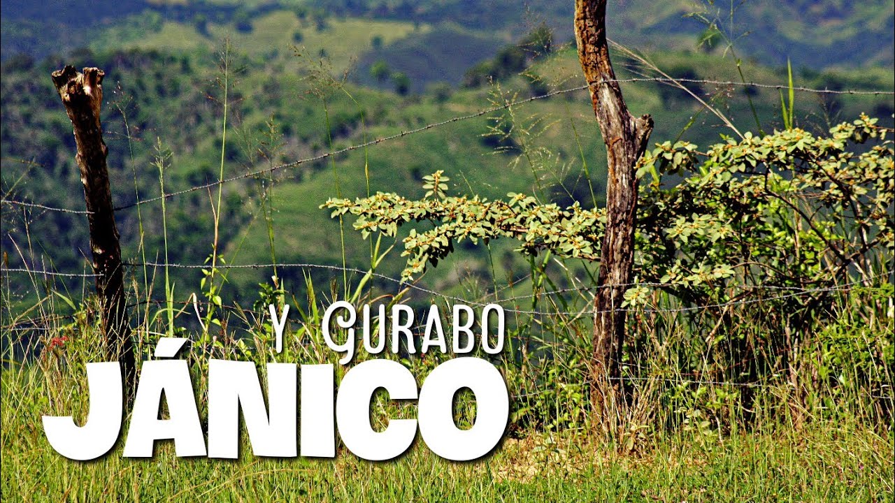 Janico y Gurabo - YouTube