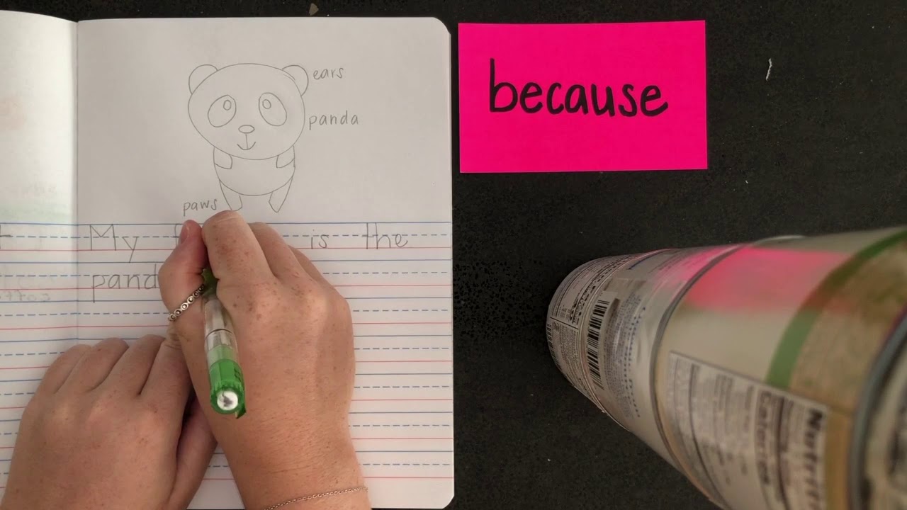 Opinion Writing Model (#2) with Miss Peet - YouTube