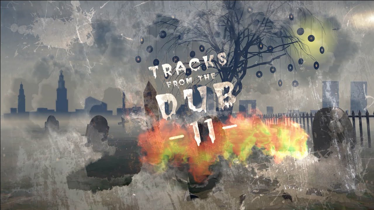 TRACKS FROM THE DUB 11 (VINTAGE DUB MIX)🇯🇲 - YouTube