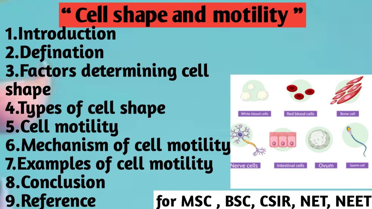 Cell shape and motility | Factors determining cell shape | Types ...