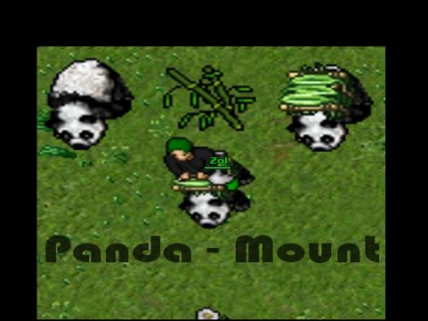 Tibia - Panda Mount #3 (Jak złapać Mounta) - YouTube