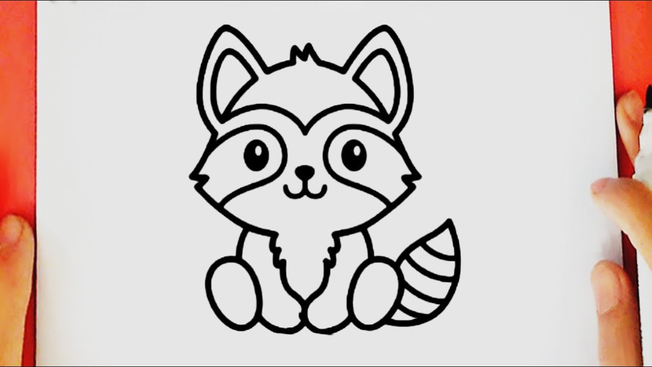 Come disegnare un procione passo dopo passo ️ ( facile 😊 ) - YouTube