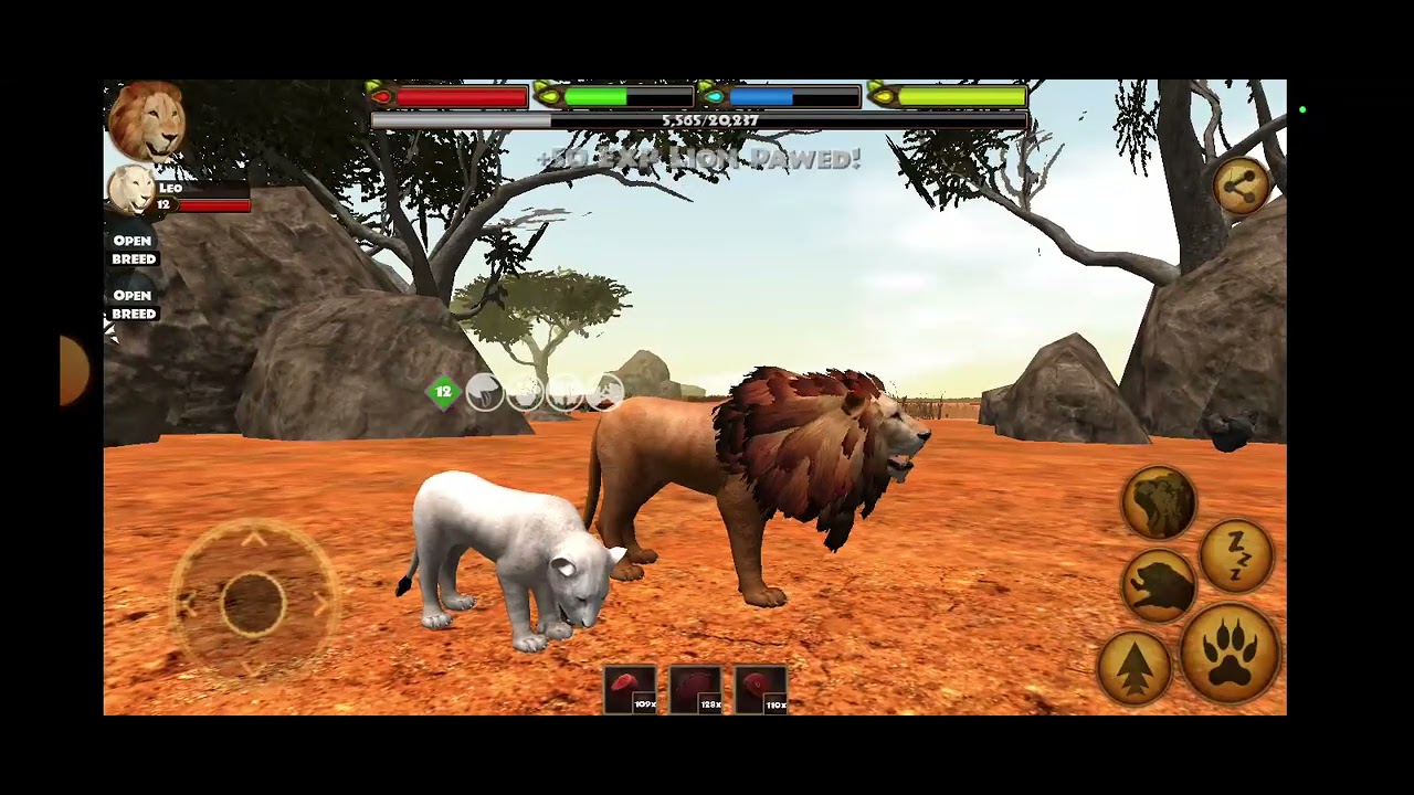 Birth of 2 male lions. Ultimate Lion Simulator - YouTube