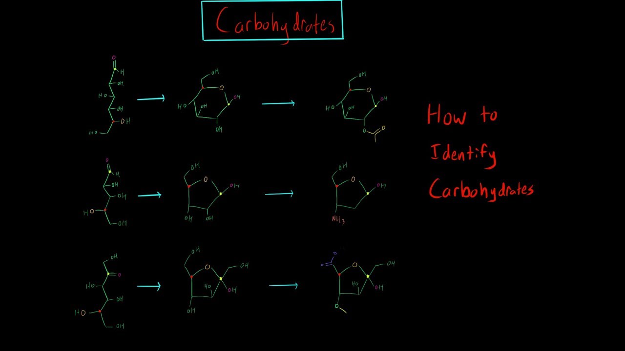 Carbohydrates (Introduction to MCAT Biomolecules) - YouTube