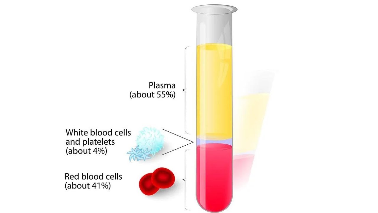 MCQs on hemoglobin estimation, PCV and ESR test. - YouTube