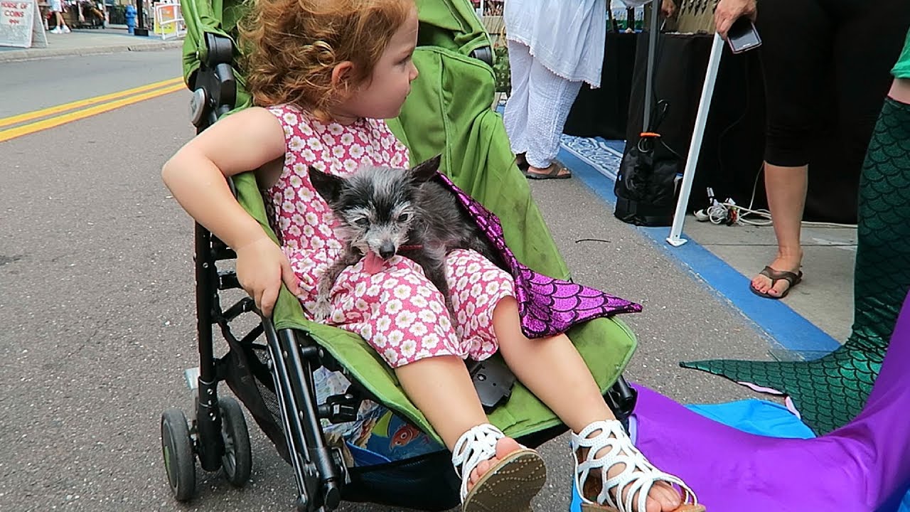 Mermaid Dog, Chasing a Snake, and Fathers Day Shopping! - YouTube