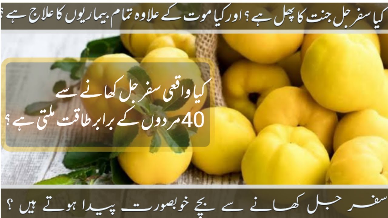 health benefits of quince bahi fruit safarjal fruit benefits in urdu ...
