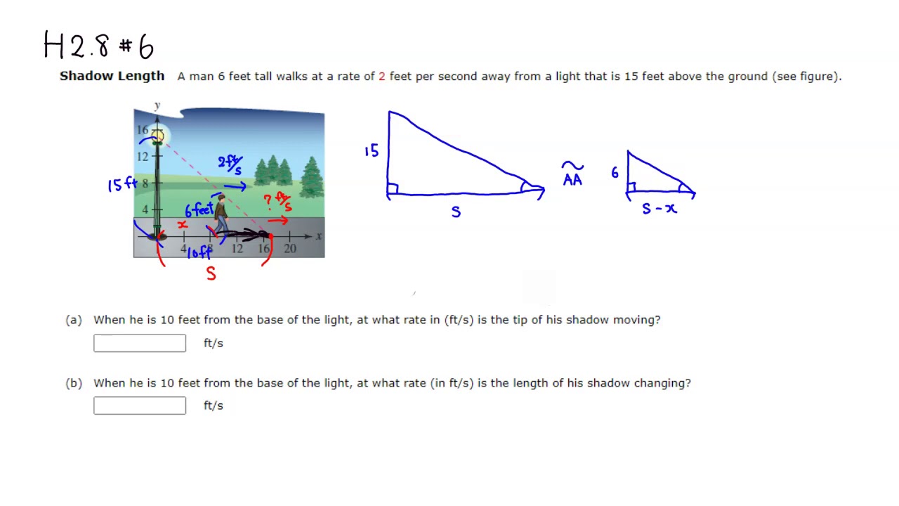 How to Solve a Related Rates Problem (Shadow Problem) (M109 H2.8 #6 ...