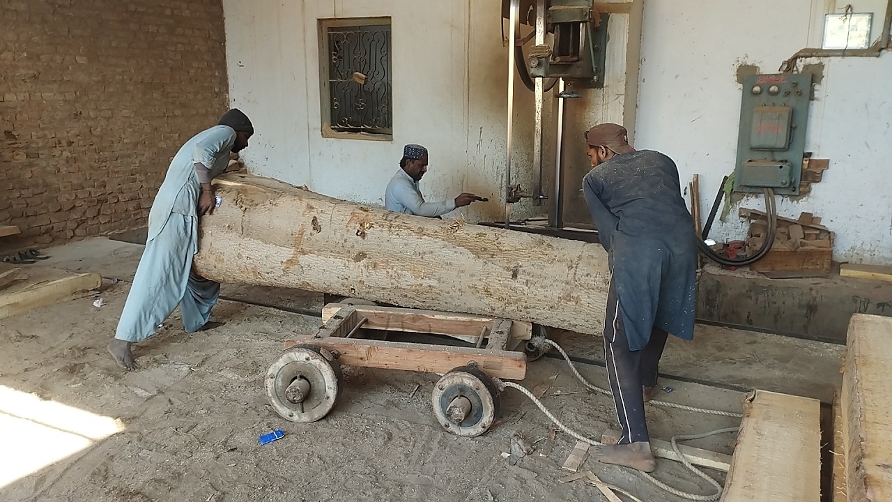 The art of cutting large, heavy wood | Cutting wood for shuttering ...