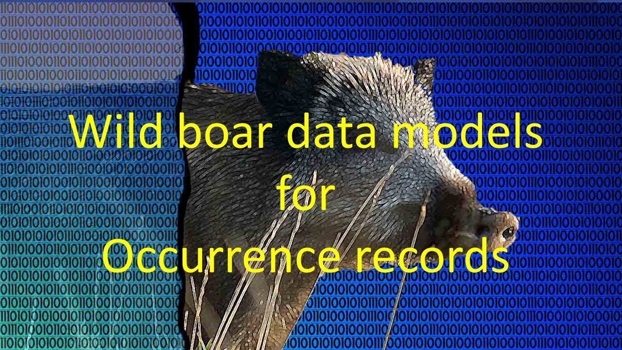 Wild Boar Data Model for Occurrence Records - YouTube